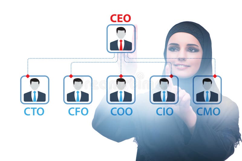 Businesswoman in the Organisation Chart Concept Stock Illustration ...