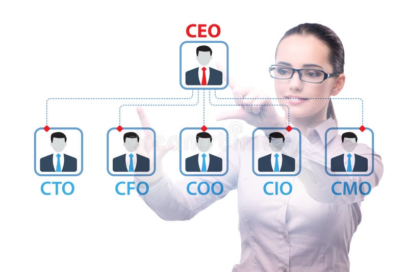 Businesswoman in the Organisation Chart Concept Stock Photo - Image of ...