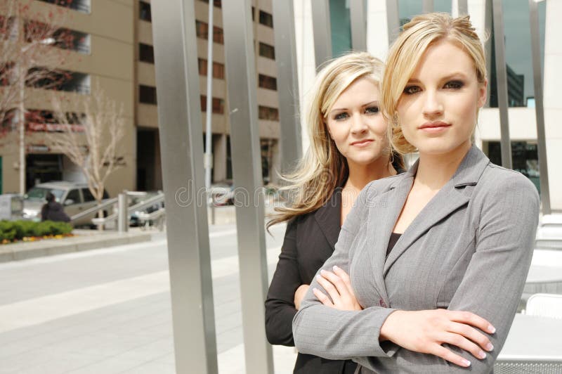 Businesswoman partners stock photo. Image of teamwork - 2301836