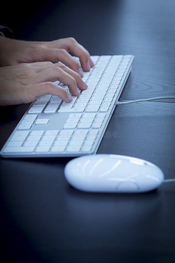 Businesswoman Typing at Computer Stock Image - Image of busy ...