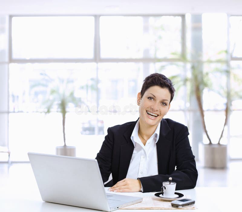 Businesswoman Working on Computer Stock Image - Image of attractive ...