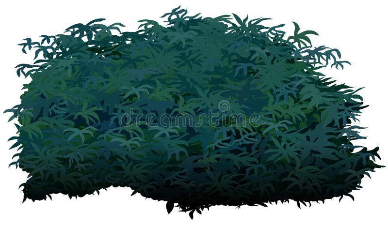 Buske vektor illustrationer. Illustration av vegetation - 30462724