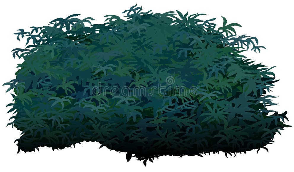 Buske vektor illustrationer. Illustration av vegetation - 30462724