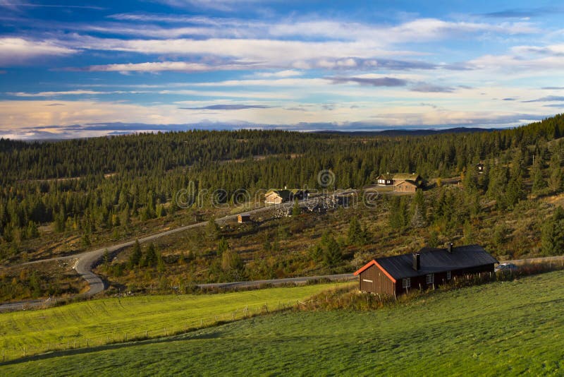 Buskerud, Norway stock photo. Image of europe, tree, norway - 16575232
