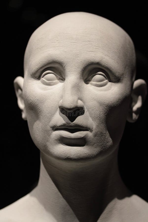 Human head model stock image. Image of artificial, male - 112118121