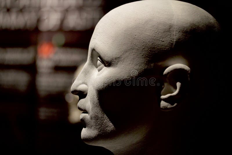 Generic Human Head Stock Photos - Free & Royalty-Free Stock Photos from ...