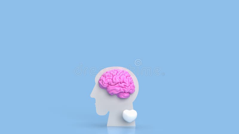 The Bust Head and Brain for Sci or Medical Concept 3d Rendering Stock ...