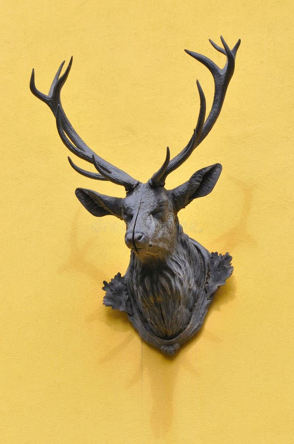 Bust of a Stag stock photo. Image of hunting, backgrounds - 5350484