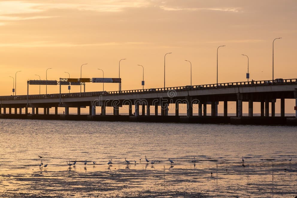 Bustling Bridge Situated in Front of a Tranquil Ocean with Golden ...