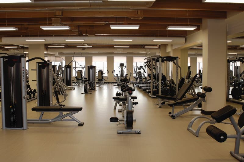 A Bustling Gym Filled with a Wide Array of Machines and Equipment for ...