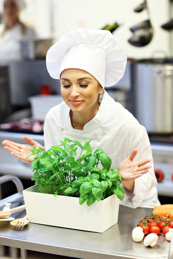 Busy Chef at Work in the Restaurant Kitchen Stock Image - Image of ...
