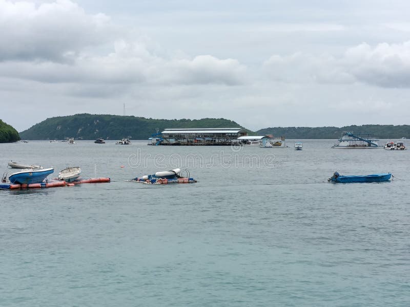 It is a Busy Day on the Sea Stock Image - Image of water, busy: 266534717