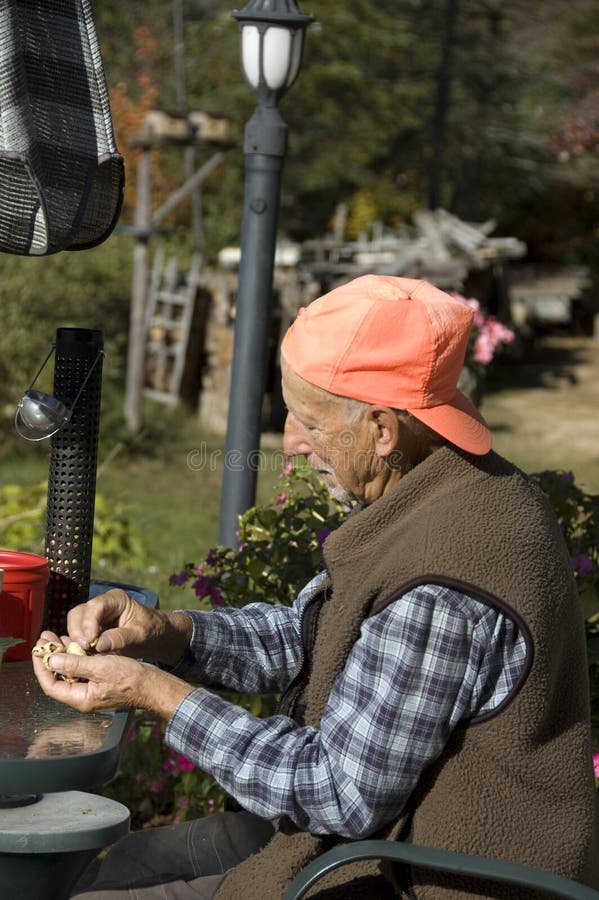 Busy elderly man stock photo. Image of lifestyle, activity - 3493406