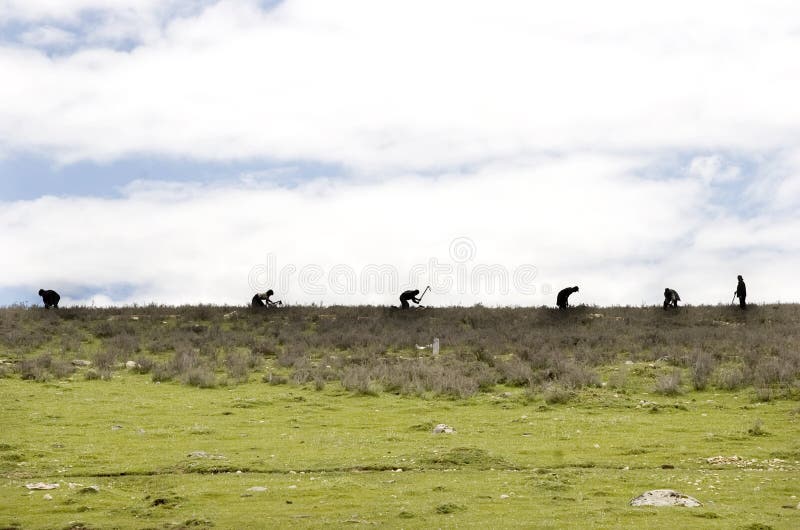 Busy farm stock image. Image of spring, farm, summer - 16452249