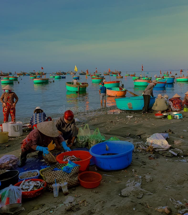 Busy Fish Market at the Beach in Mui Ne, Vietnam. Editorial Stock Image ...