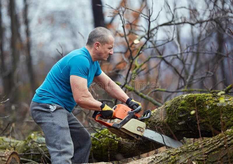 Lumberjack Working with Chainsaw Stock Image - Image of meadow, male ...