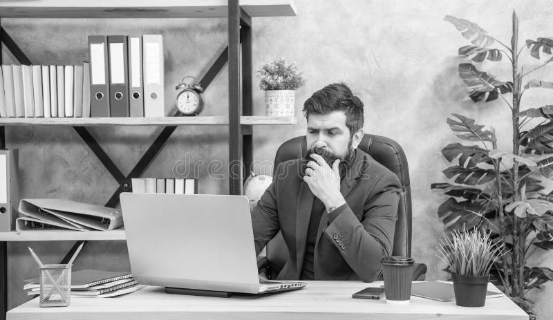 Busy Mature Entrepreneur Working on Computer at Office, Professional ...