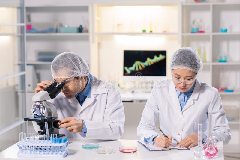 Laboratory Researchers Working with Samples Stock Photo - Image of ...