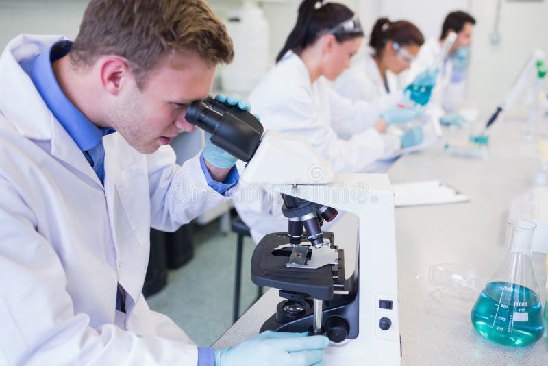 Busy Researchers Working on Experiments in the Lab Stock Photo - Image ...