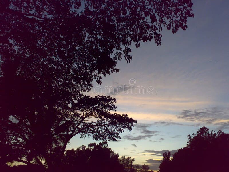 Evening shot stock photo. Image of bustling, shot, busy - 111833144