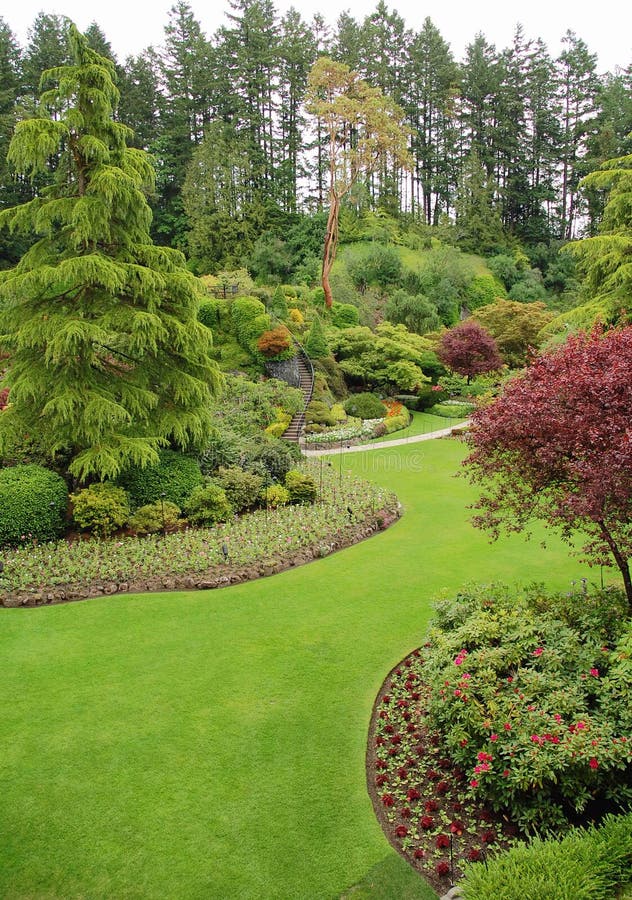 Buchart Gardens Victoria BC Editorial Stock Photo - Image of tree ...