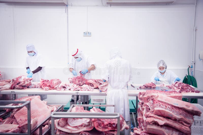 Butcher that Cuts Fresh Pork Stock Photo - Image of food, knife: 61846906