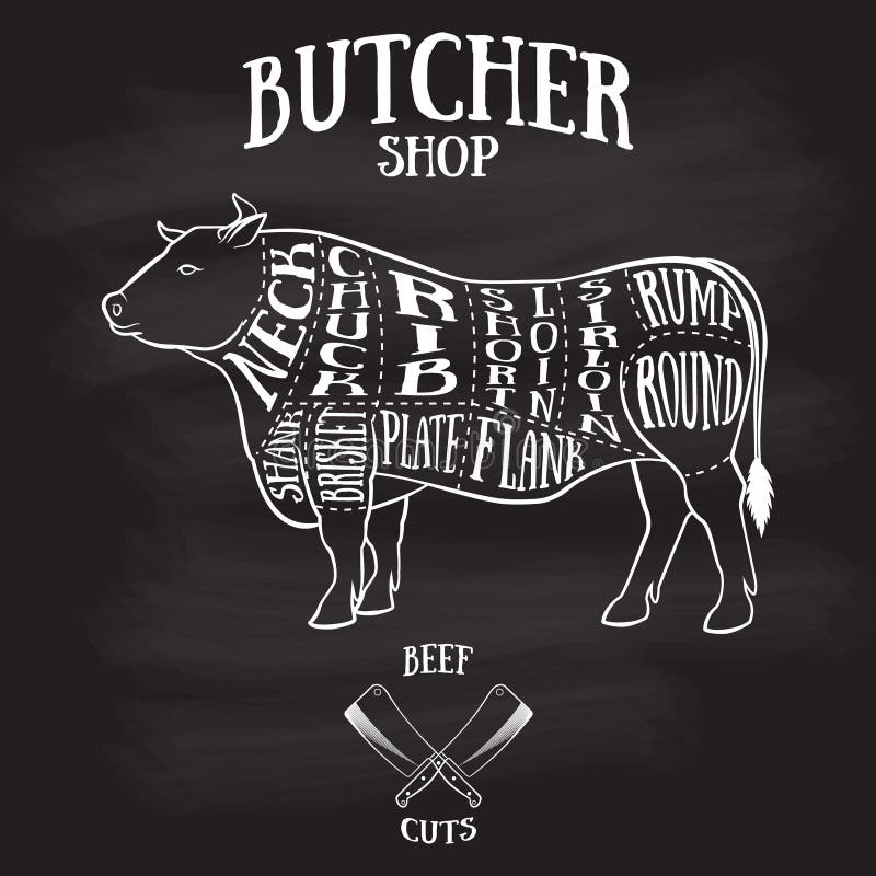Butcher Cuts Scheme of Beef Stock Vector - Illustration of diagram ...