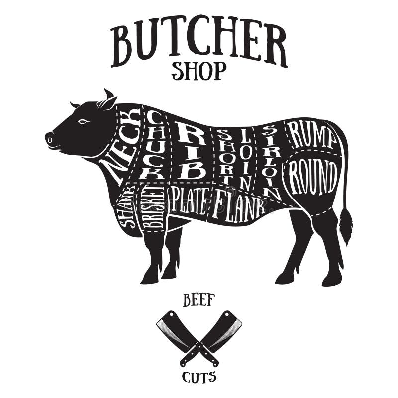Butcher Cuts Scheme of Beef Stock Vector - Illustration of diagram ...