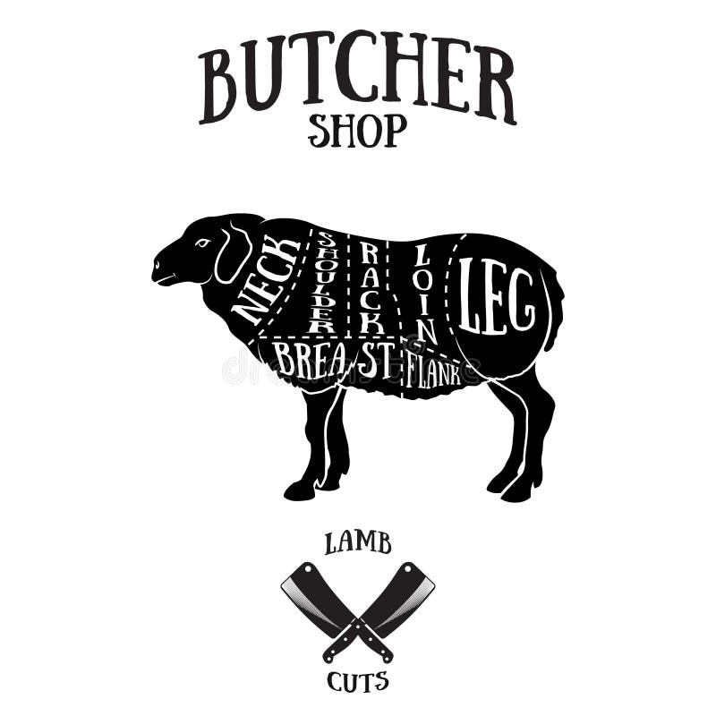 Butcher Cuts Scheme of Beef Stock Vector - Illustration of diagram ...