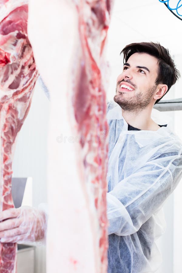 Butcher Cutting Pork in Butchery Stock Image - Image of meat, butcher ...