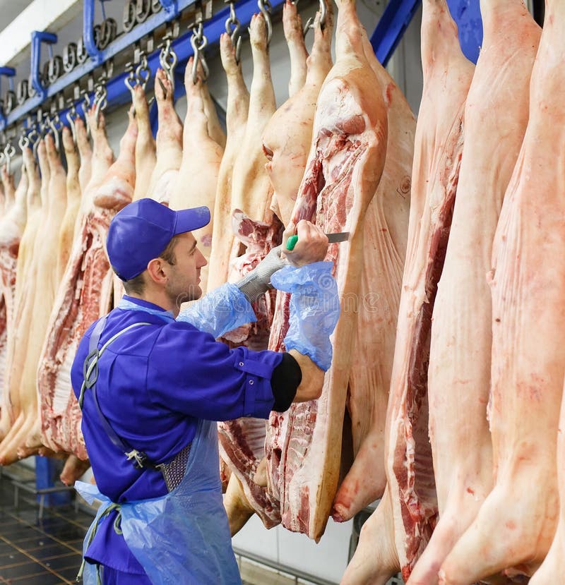 Butcher Cutting Pork at the Meat Manufacturing. Stock Image - Image of ...