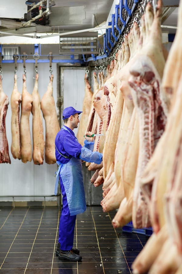 Butcher Cutting Pork at the Meat Manufacturing. Stock Image - Image of ...
