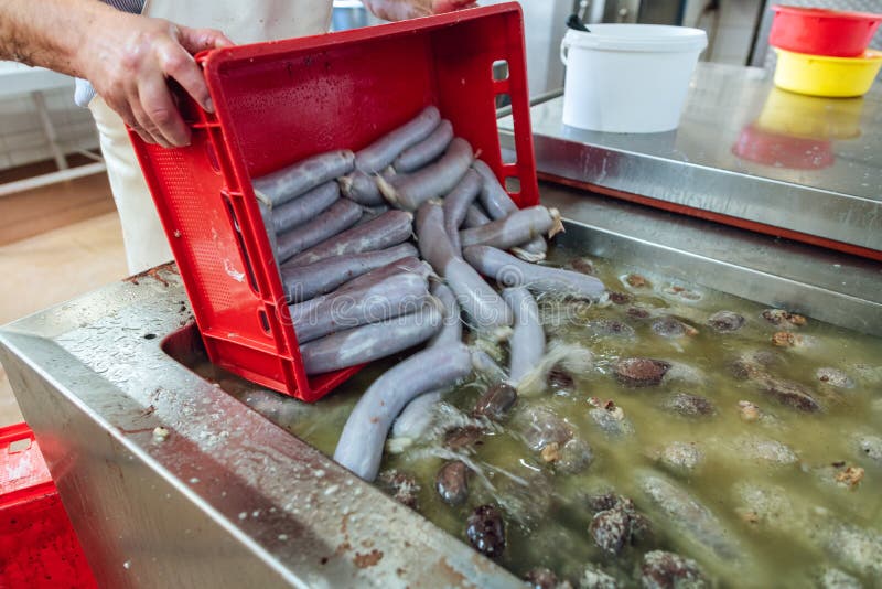 Butcher Emptying Container of Sausages into Cooking Water Stock Image ...