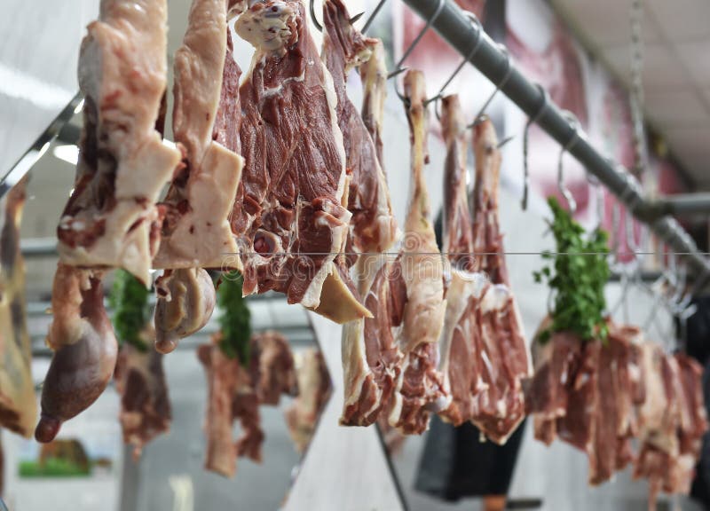 Butcher s shop stock photo. Image of shop, slaughterhouse - 69909342