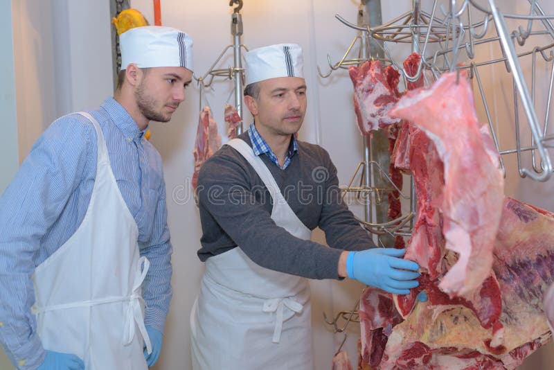 Butcher Teaching Young Trainee Stock Photo - Image of drink, horizontal ...