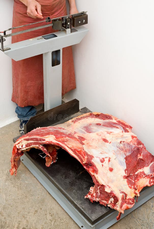 Butcher weighs meat stock image. Image of weighting, carcass - 38180981