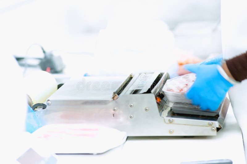Butcher wrapping meat stock photo. Image of ingredient - 61844444