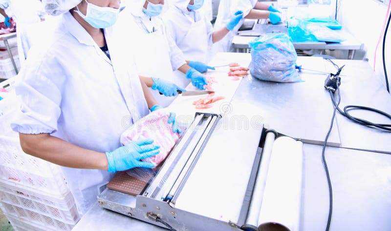 Butcher wrapping meat stock photo. Image of meat, cook - 61845014