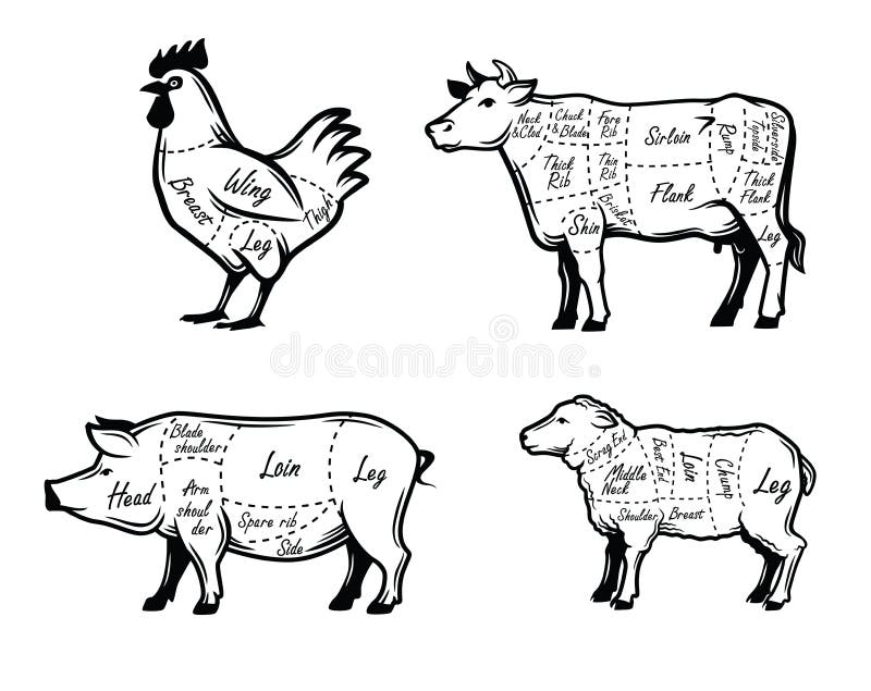 Butchery Symbols Stock Illustrations – 158 Butchery Symbols Stock ...