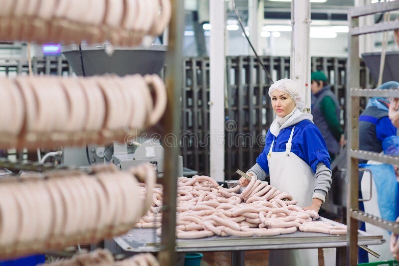 Butchers Processing Sausages at a Meat Factory. Stock Photo - Image of ...