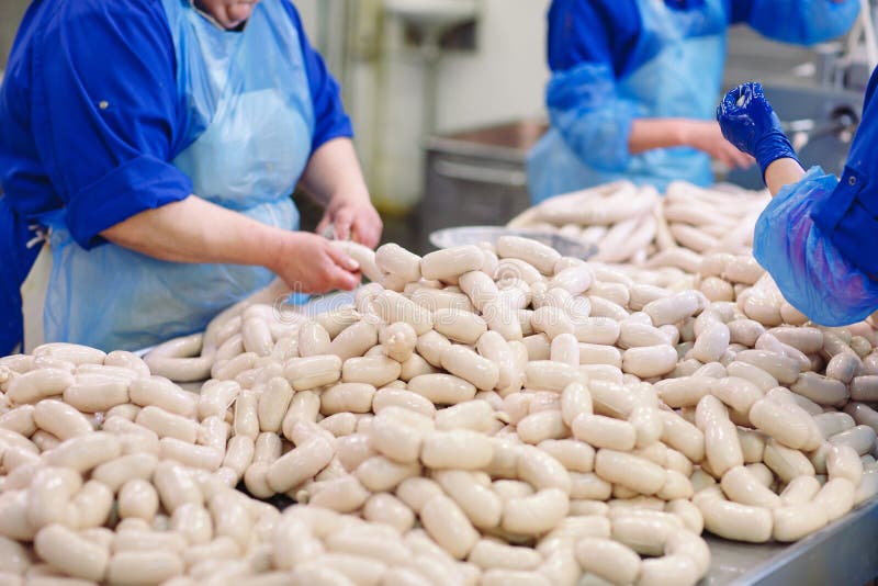 Butchers Processing Sausages at the Meat Factory. Stock Image - Image ...