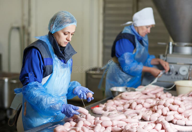 Butchers Processing Sausages at a Meat Factory. Stock Image - Image of ...