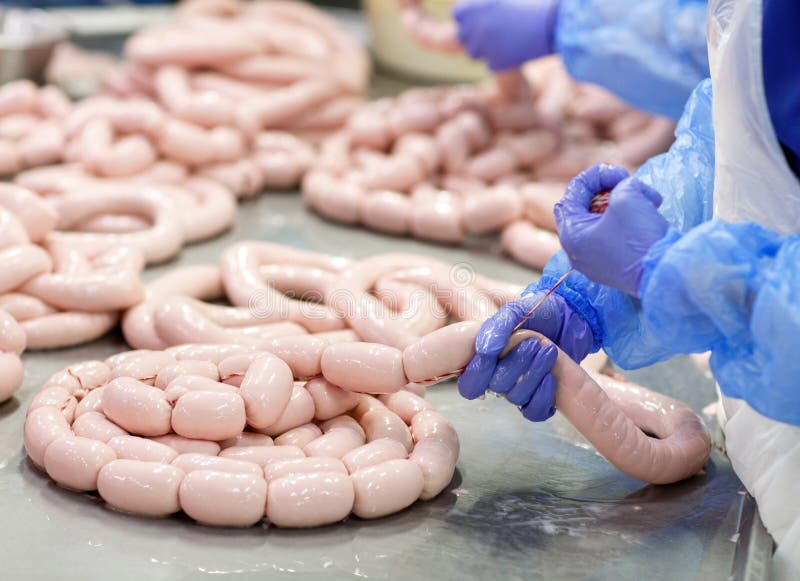 Butchers Processing Sausages at a Meat Factory. Stock Photo - Image of ...