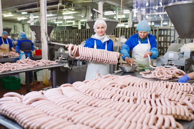 Butchers Processing Sausages at the Meat Factory. Stock Image - Image ...