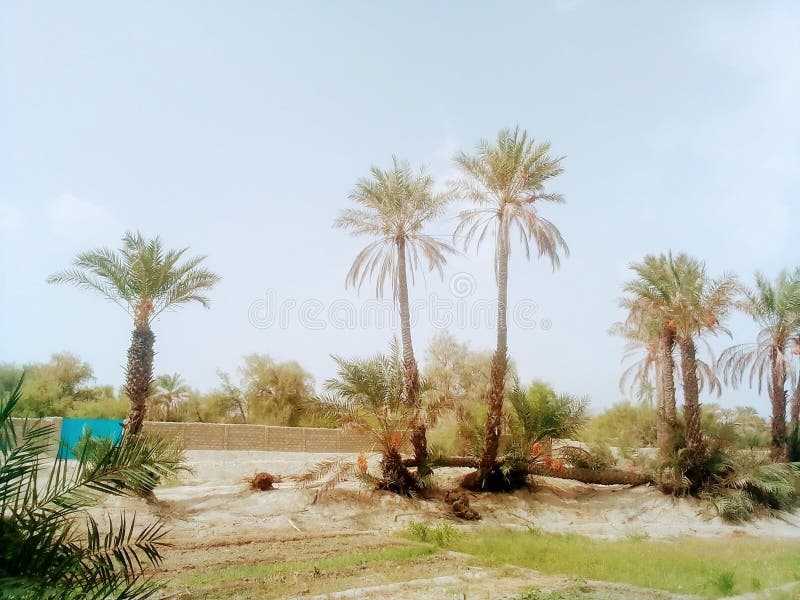 May Gradan Stock Photos - Free & Royalty-Free Stock Photos from Dreamstime