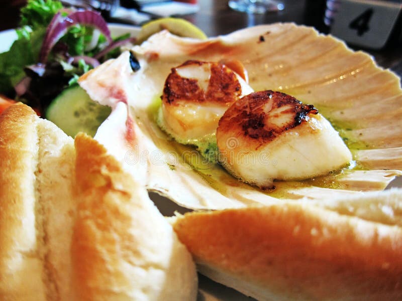 Butter Baked Shell stock photo. Image of clock, hugging - 48877366