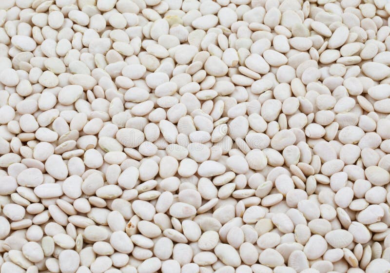 Butter Beans or Val Beans stock photo. Image of cuisine - 194198650