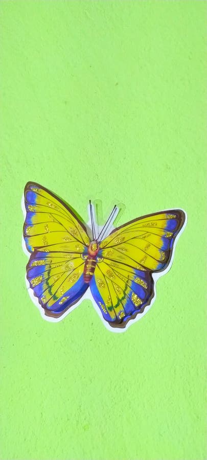 Butter Fly Colour, Green, Nature Stock Image - Image of butter, green ...