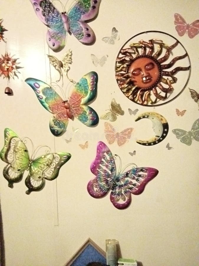 Butter fly wall stock image. Image of invertebrate, animal - 239965879