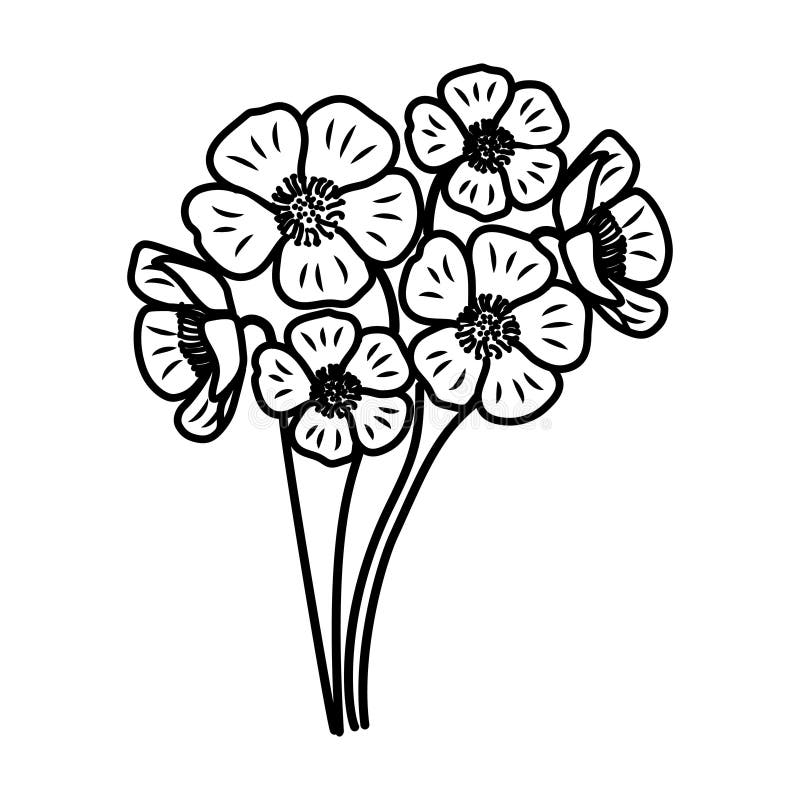 Buttercup Floral Hand Drawn. Vector Design Illustration Sign Stock ...